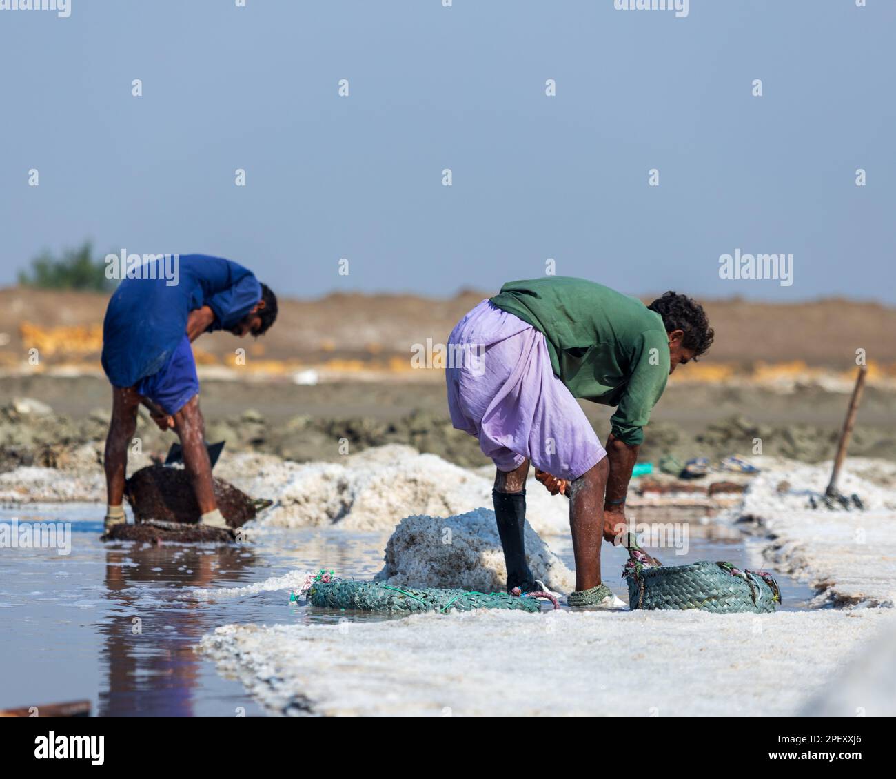 Bhambore Sindh Pakistan 2022, Labor collecting and stacking sea salt at ...