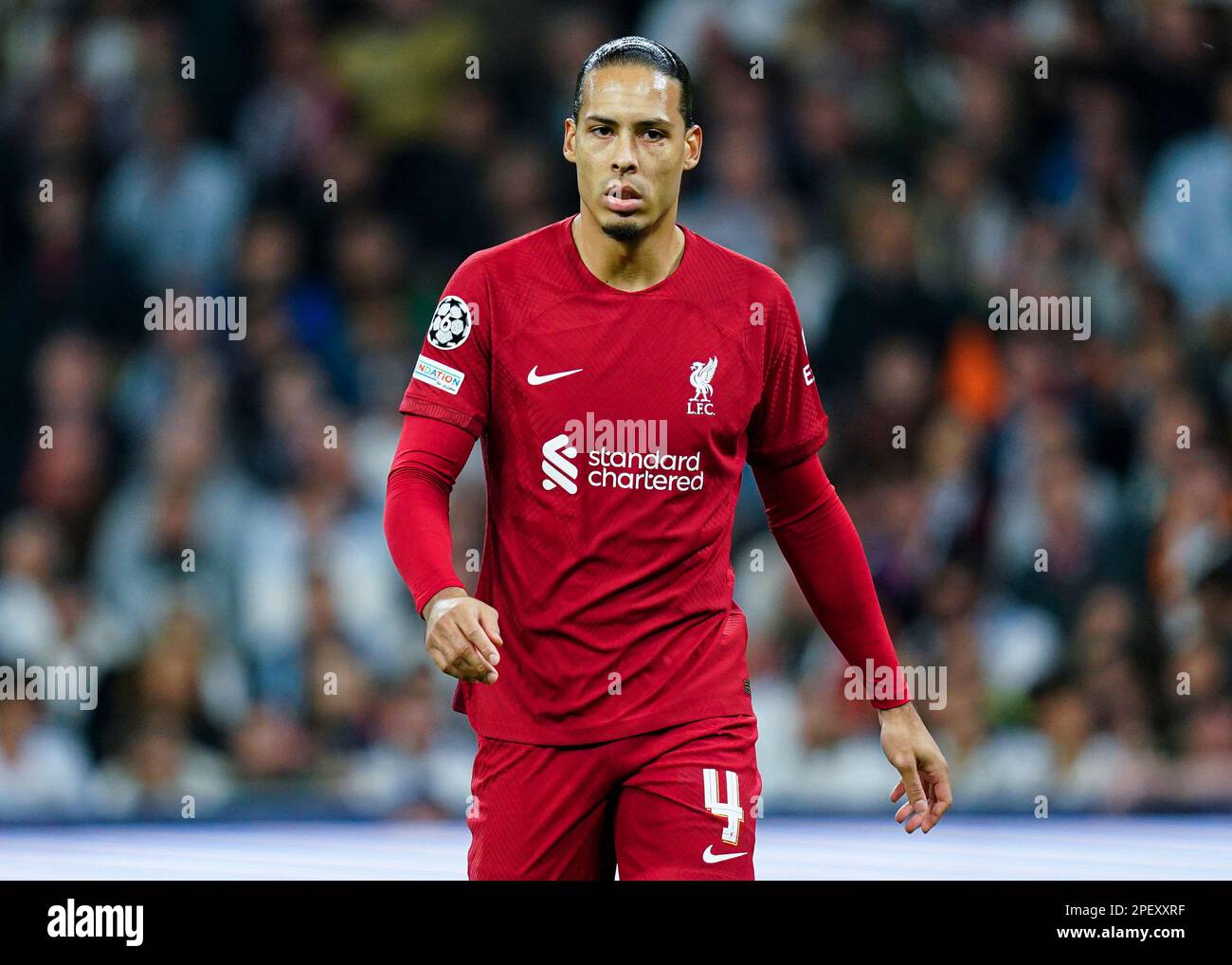 Virgil van Dijk of Liverpool FC during the UEFA Champions League match ...