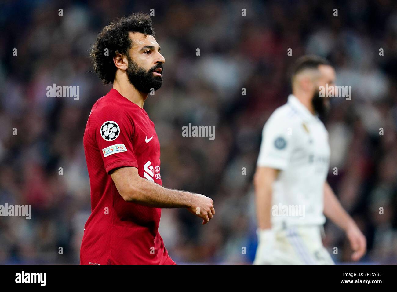 Mohamed Salah of Liverpool FC during the UEFA Champions League match ...
