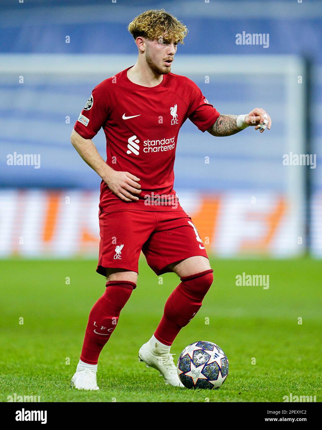 Harvey Elliott of Liverpool FC during the UEFA Champions League match ...
