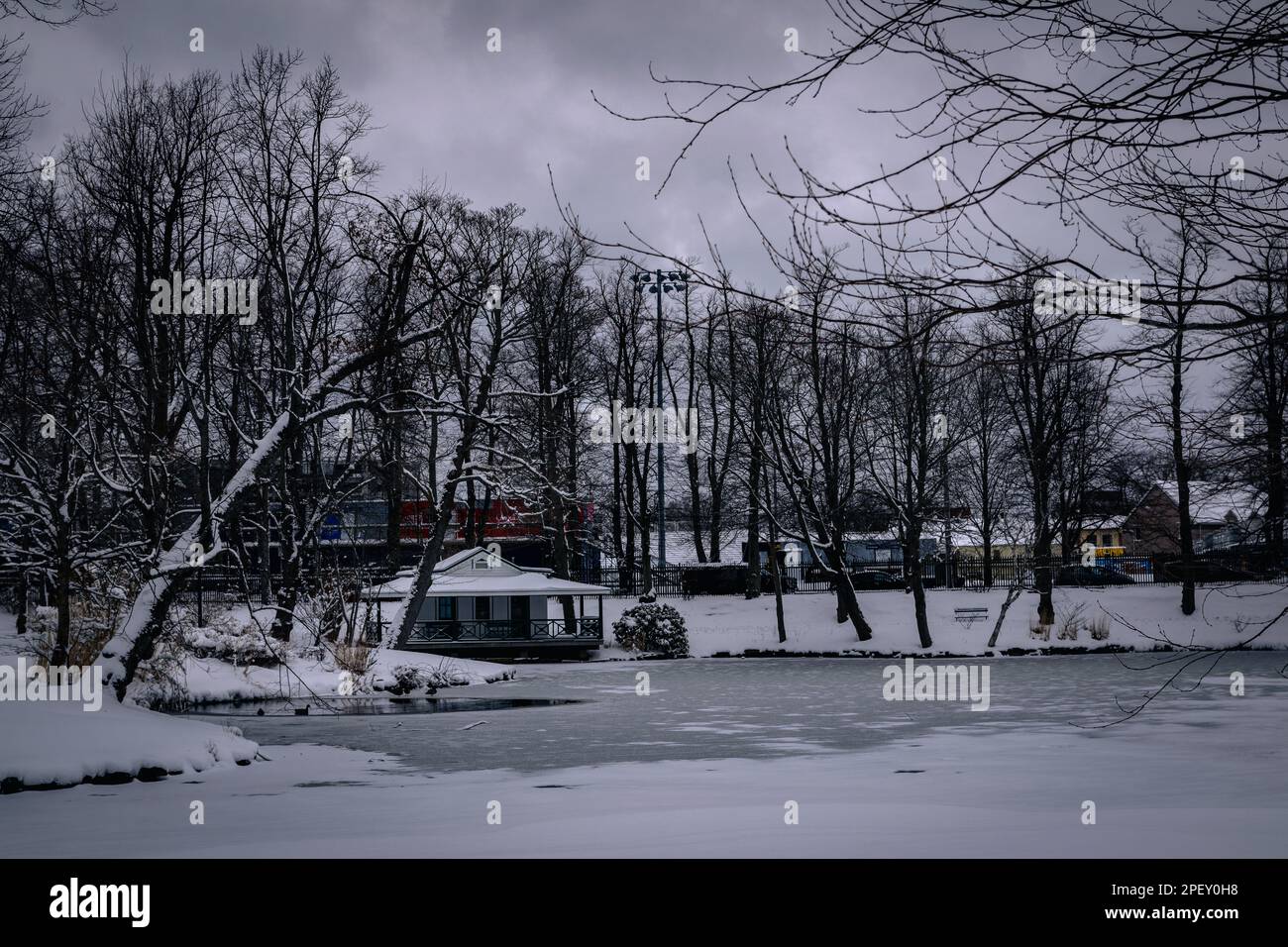 the water fowl house with low roof and patio built over Griffin's Pond ...