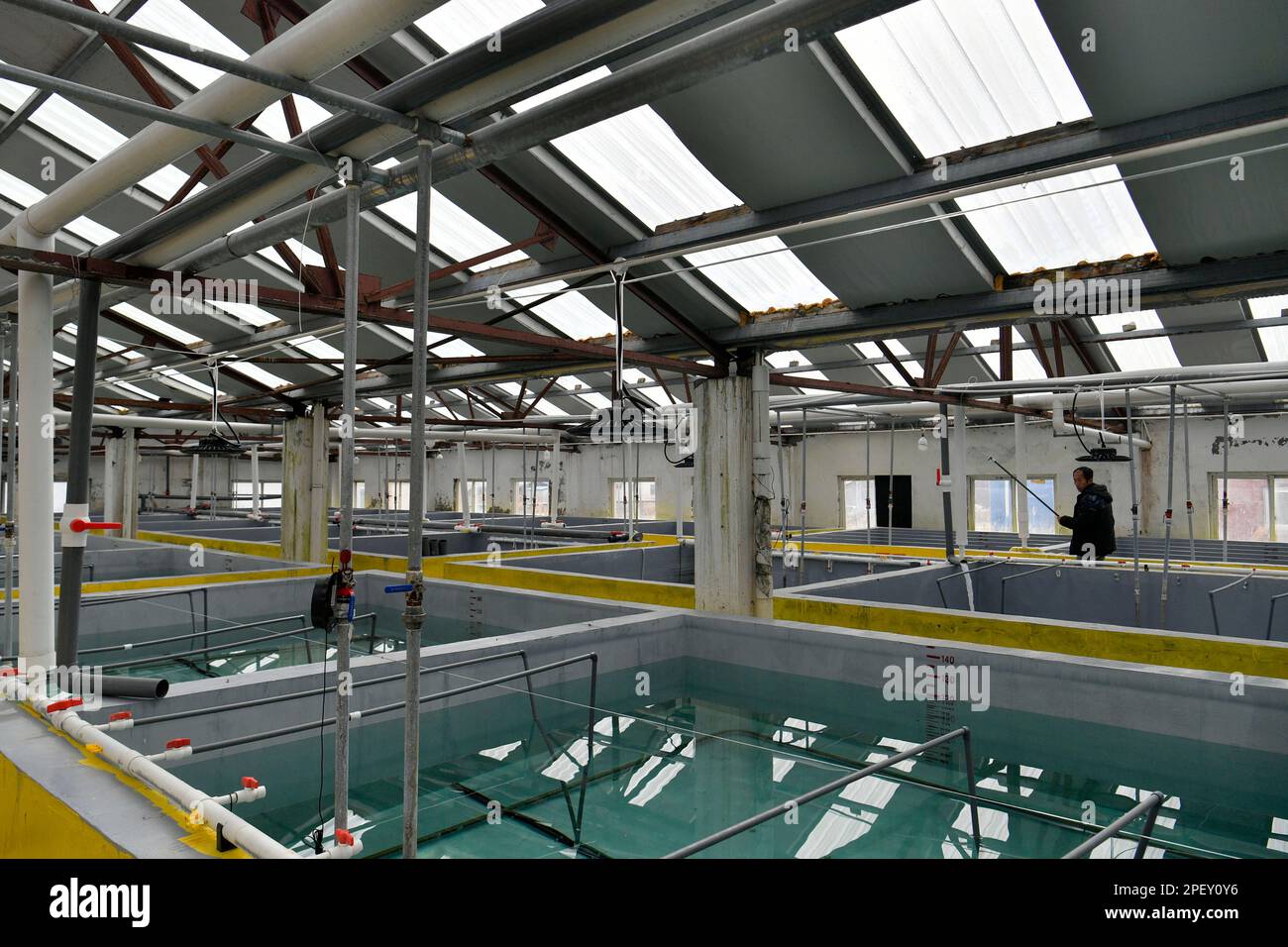 Tianjin, Ltd in the Binhai New Area modern agriculture industrial park ...