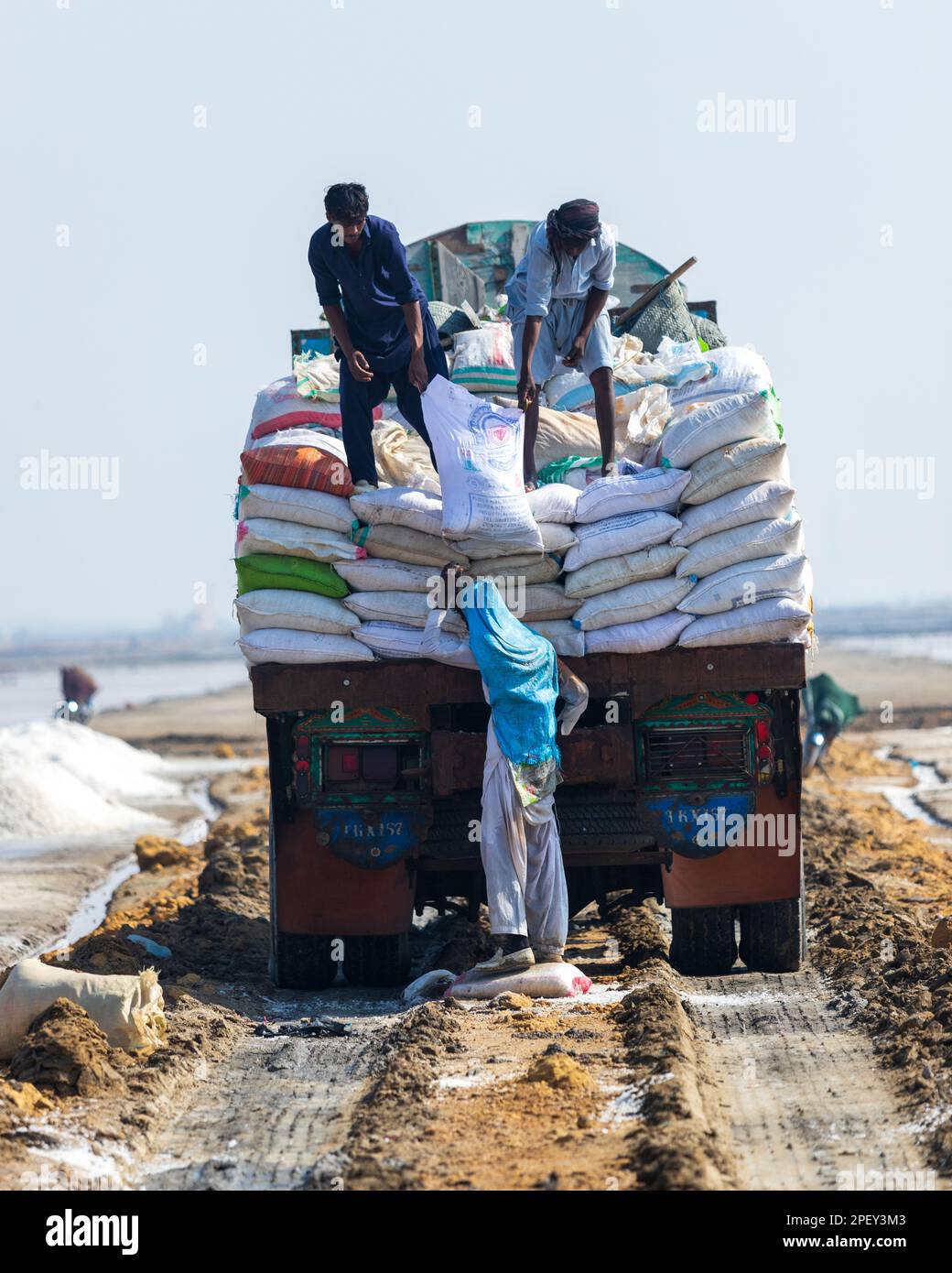 Bhambore Sindh Pakistan 2022, Labor collecting and stacking sea salt on ...