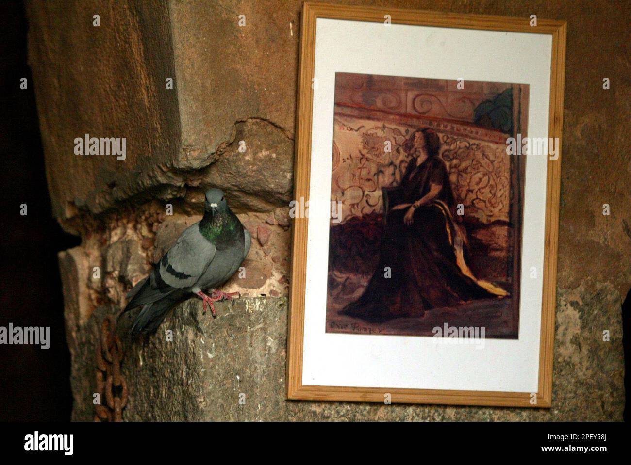 A pigeon stands on the crumbling wall where a reproduction of a ...