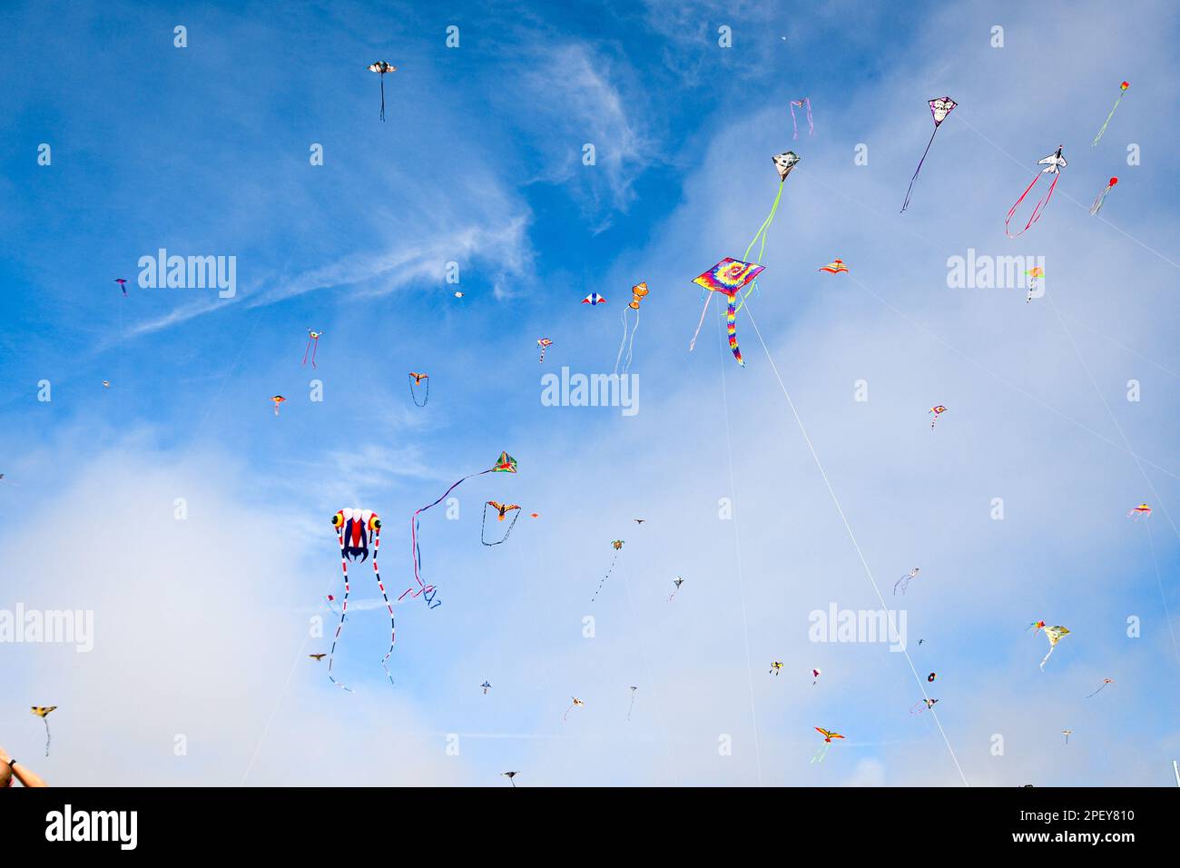 A colorful array of kites soaring in the sky above the tranquil blue ...