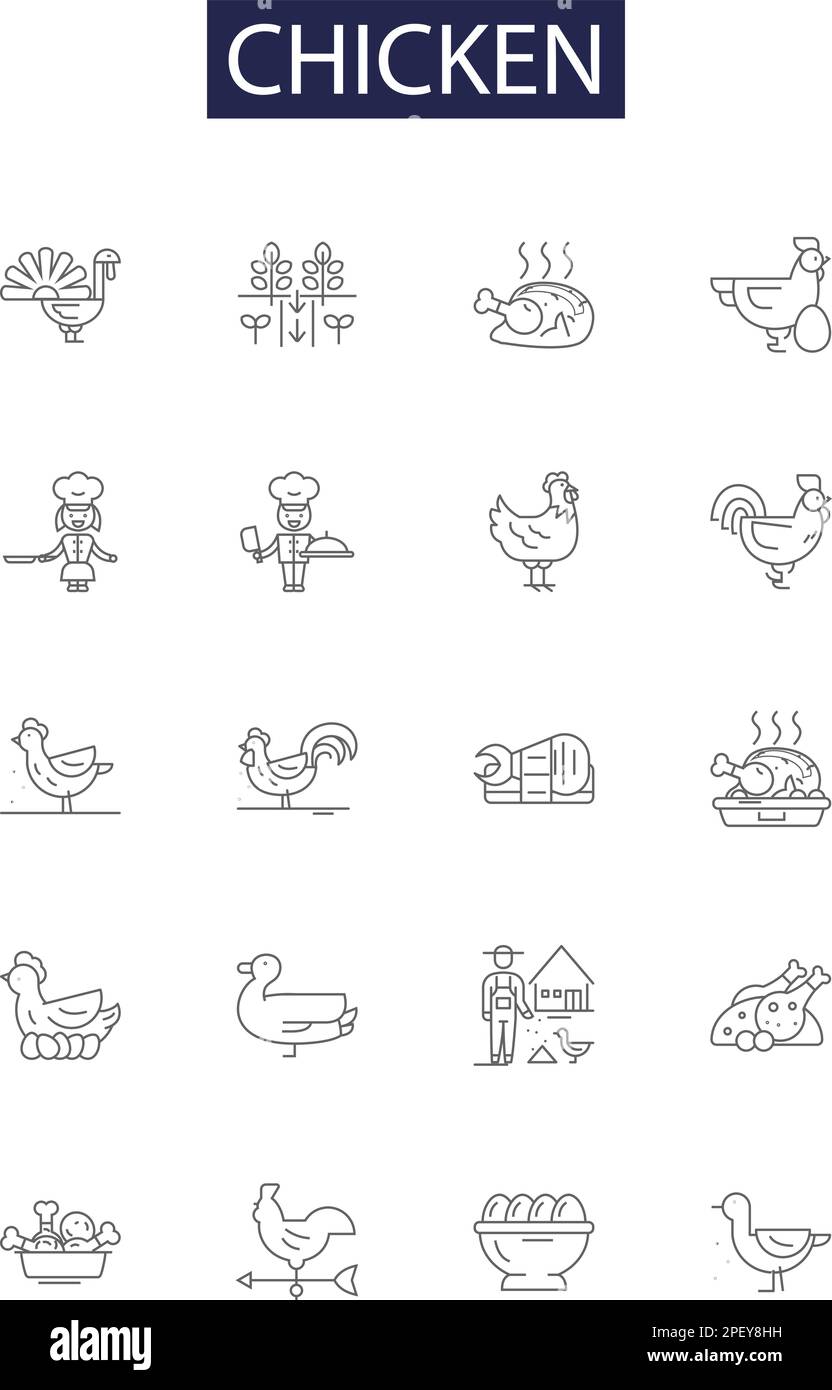 Chicken line vector icons and signs. Poultry, Fowl, Roast, Hen, cluck ...