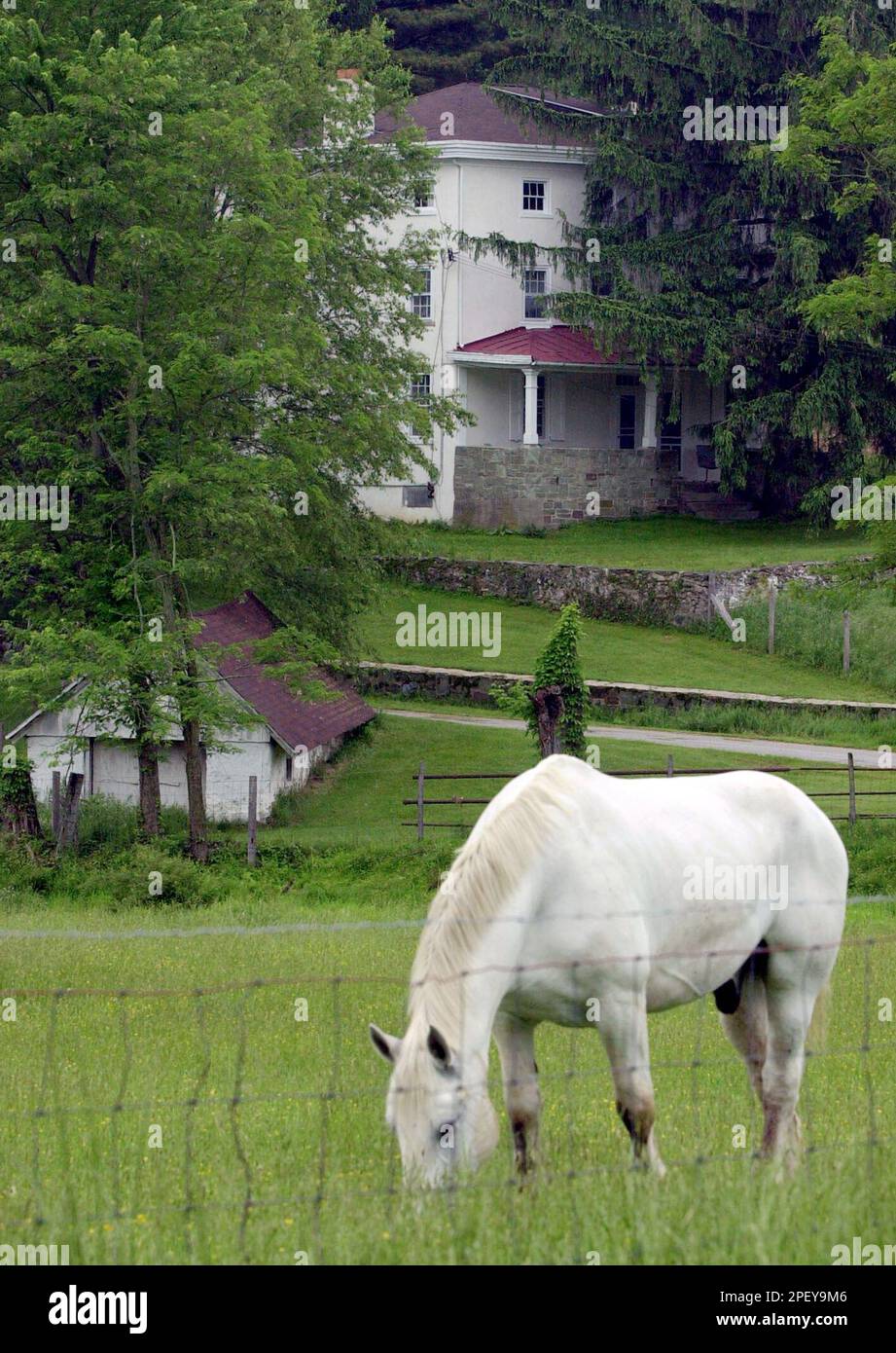 ** ADVANCE FOR TUESDAY, JUNE 1 ** Draft horse Dentzel grazes in a field ...