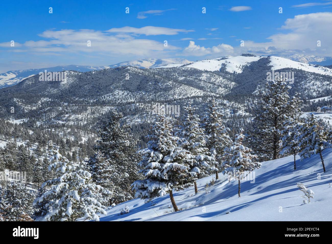mount ascension in winter viewed from foothills of helena national ...