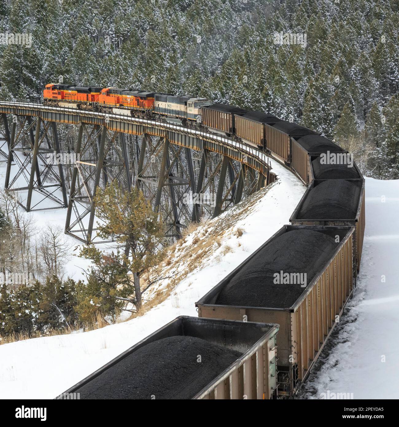 train hauling coal over the trestle below mullan pass in winter near austin, montana Stock Photo ...