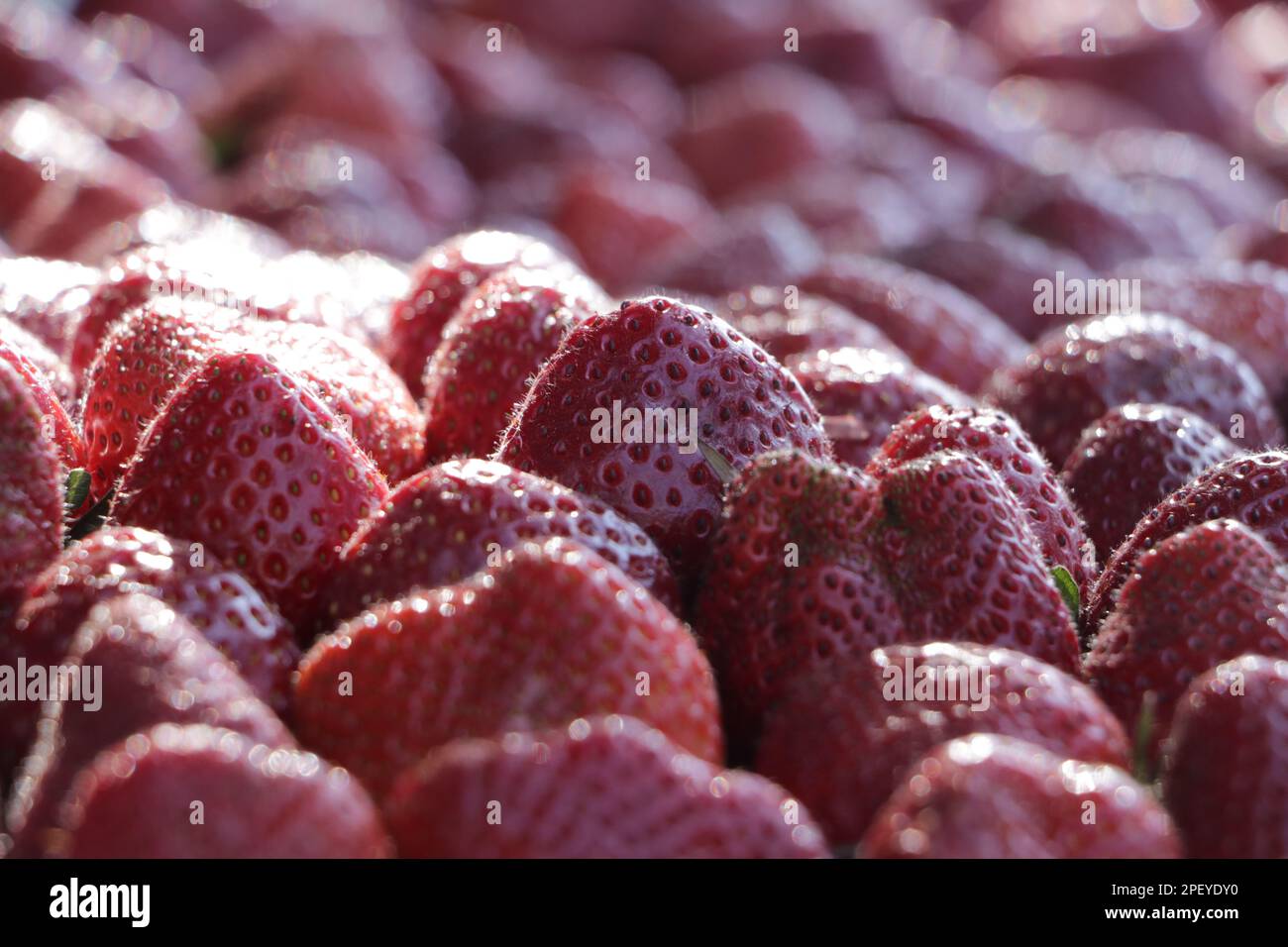 Juicy texture hi-res stock photography and images - Alamy
