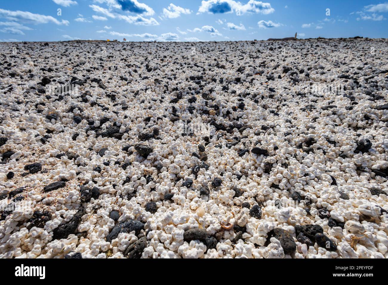 Popcorn beach near Corralejo on the island of Fuerteventura in the ...