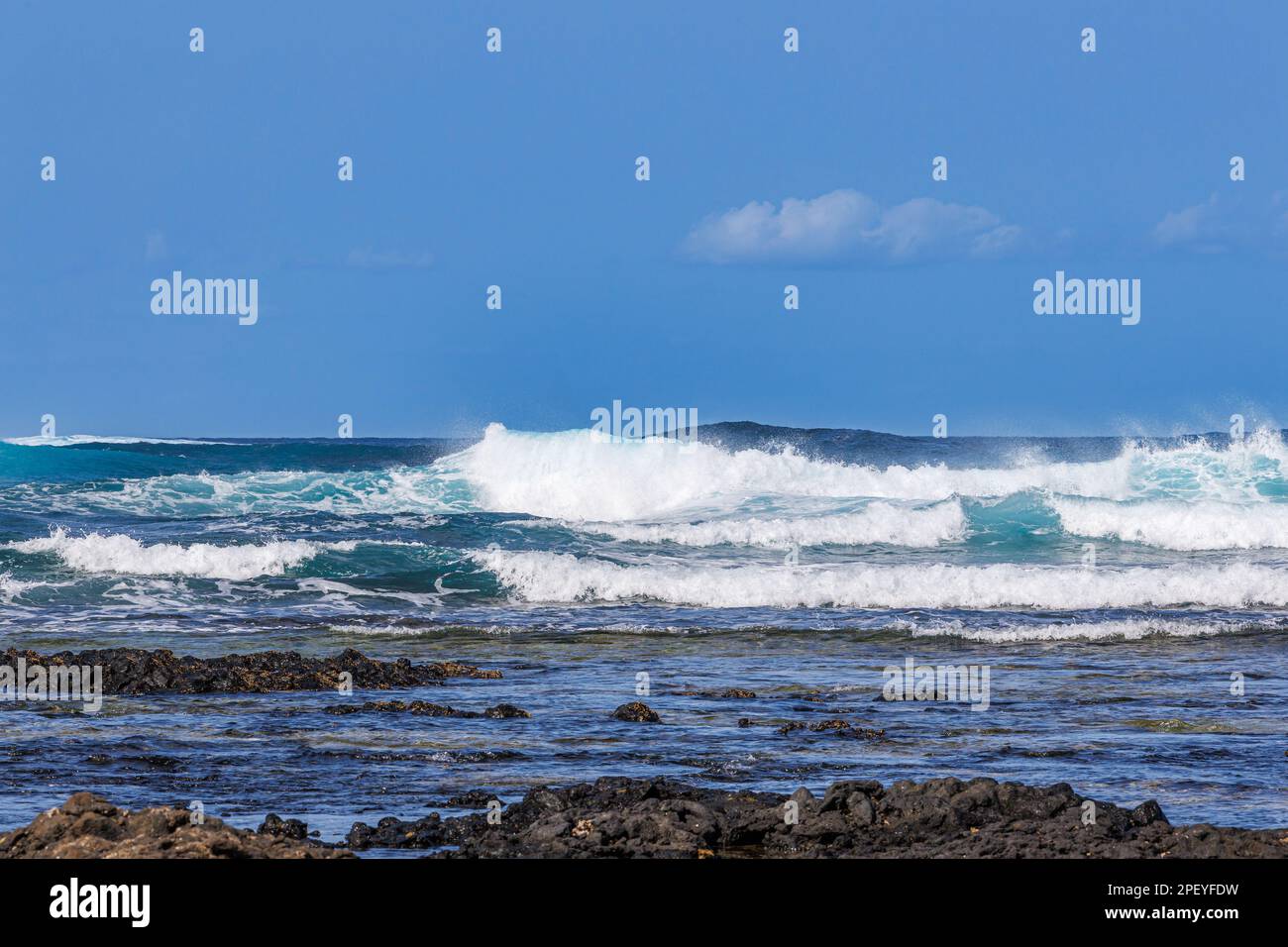 Popcorn beach near Corralejo on the island of Fuerteventura in the ...