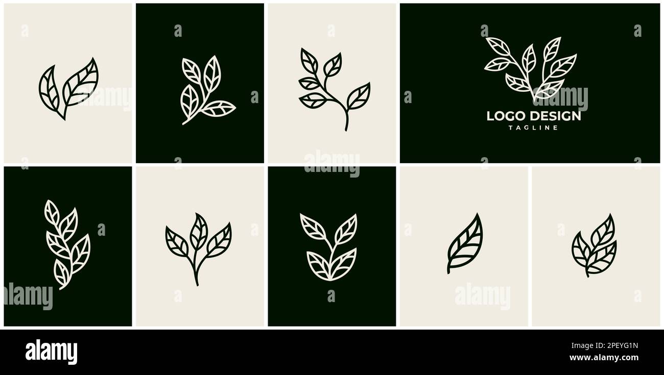 Line art leaf logo design set. Line leaf logo. Retro nature logo Stock ...