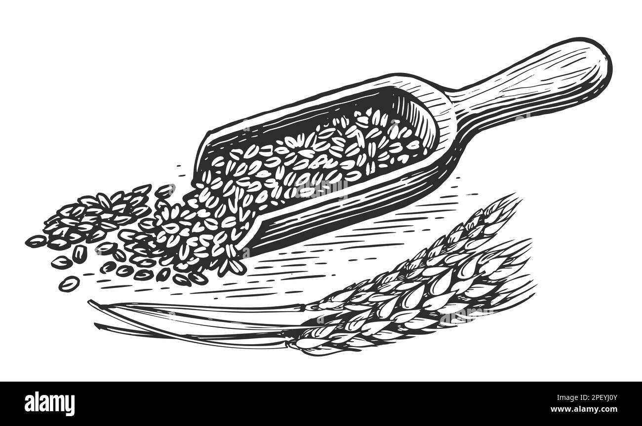 Grains Clip Art Black And White