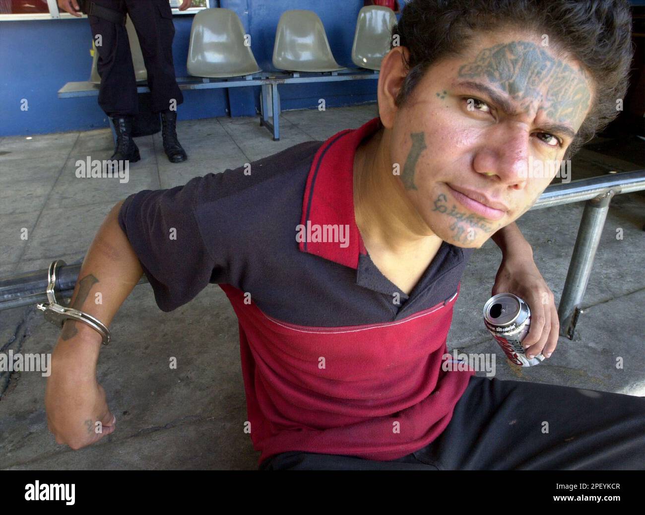 Gang member Jose Raul Delgado, "El Bolo",19, is handcuffed to a fence ...