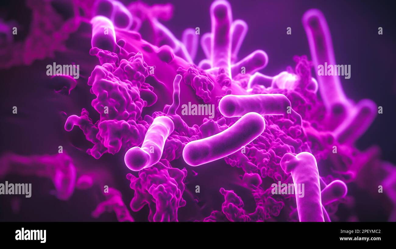 Lungs microscope hi-res stock photography and images - Alamy