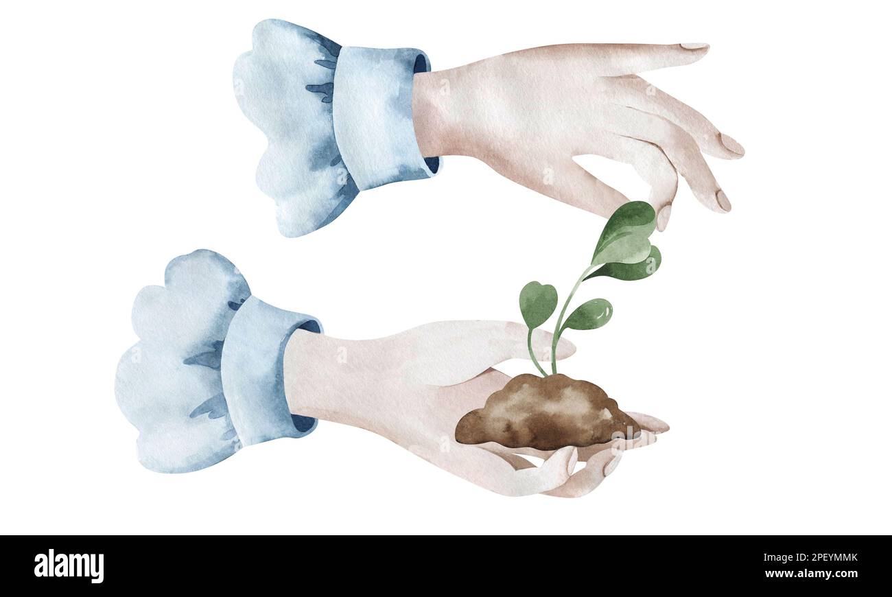 Watercolor illustration of gardening hobby. Planting seedlings, plants ...