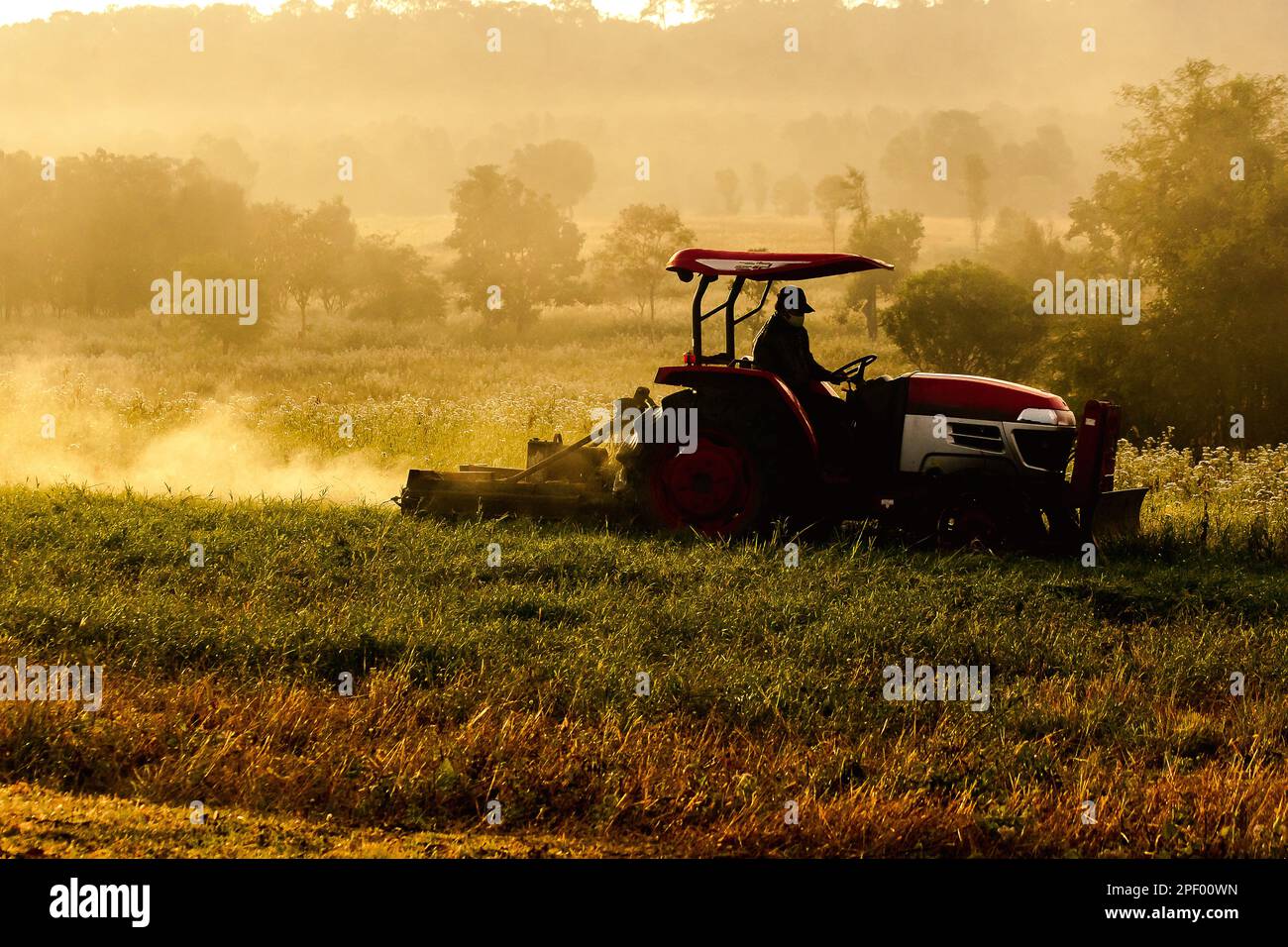 A man driving a lawn mower, a tractor working on the land Stock Photo ...