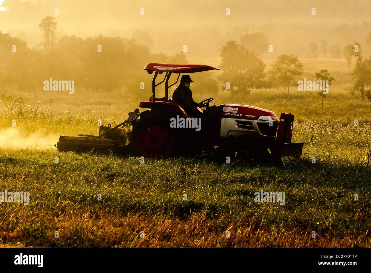 A man driving a lawn mower, a tractor working on the land Stock Photo ...