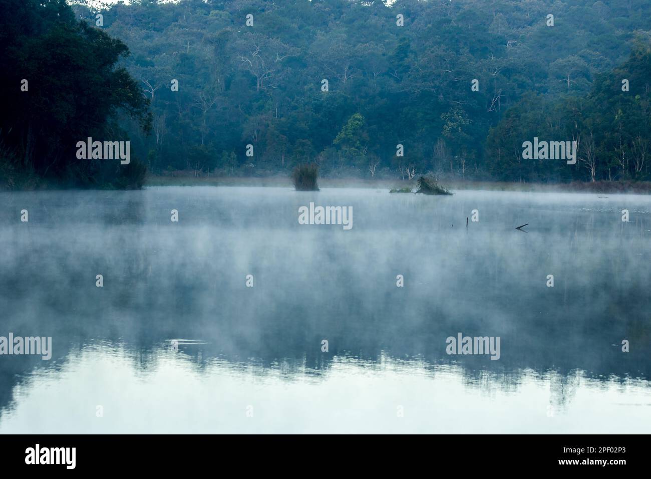 A misty landscape floating from the surface of the water Stock Photo ...