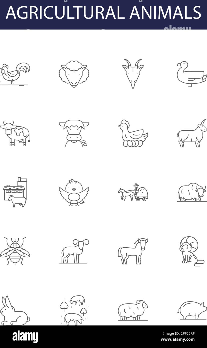 Agricultural animals line vector icons and signs. Pig, Sheep, Goat ...