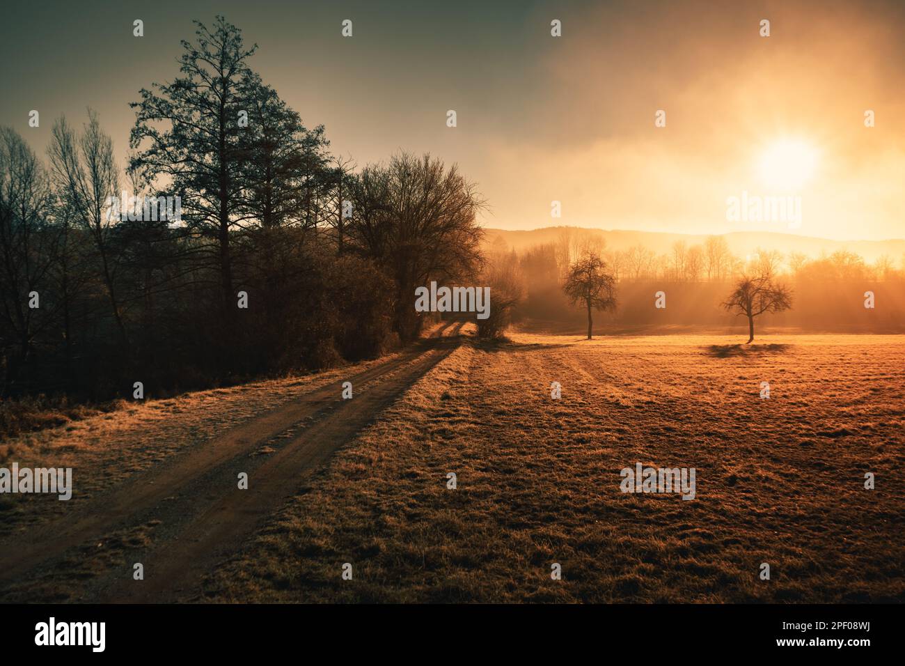 sun over field with path and trees Stock Photo - Alamy