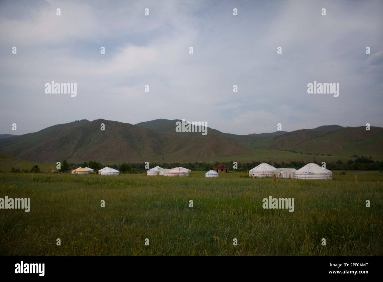 Yurts in the Mongolian countryside Stock Photo - Alamy