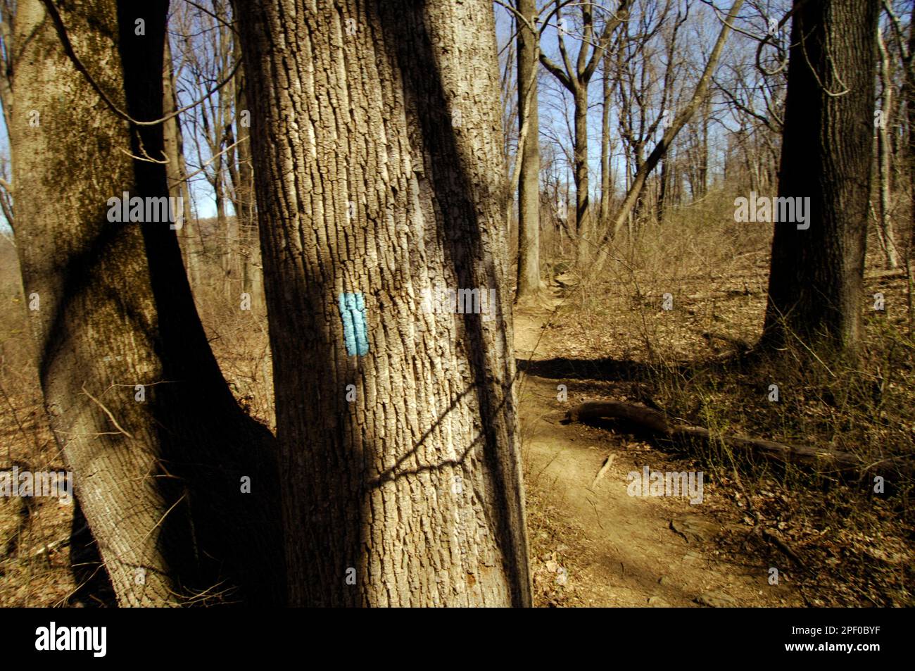 Bluetrail hi-res stock photography and images - Alamy