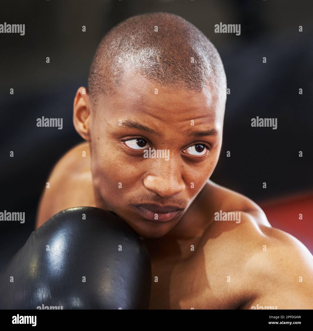 Boxer in boxing gloves eyes hi-res stock photography and images - Alamy