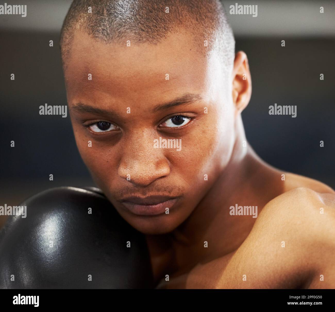 Boxer in boxing gloves eyes hi-res stock photography and images - Alamy