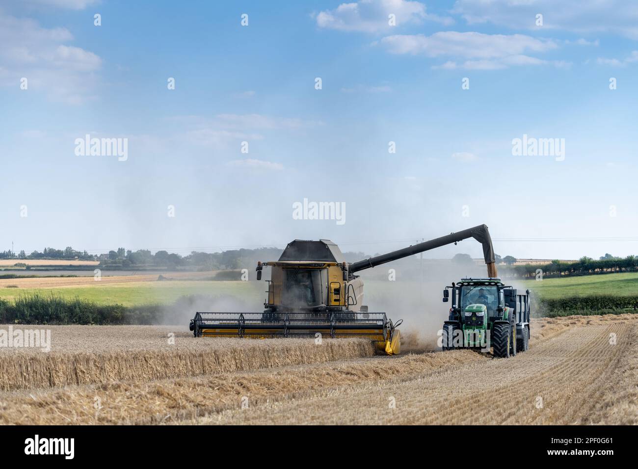 New Holland combine filling trailer with grain as it drives alongside ...