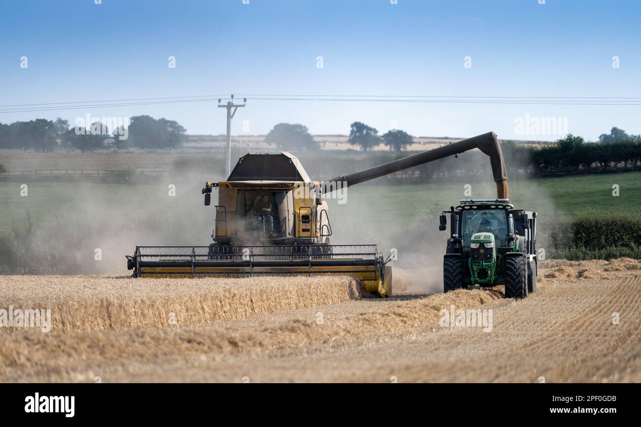 New Holland combine filling trailer with grain as it drives alongside ...