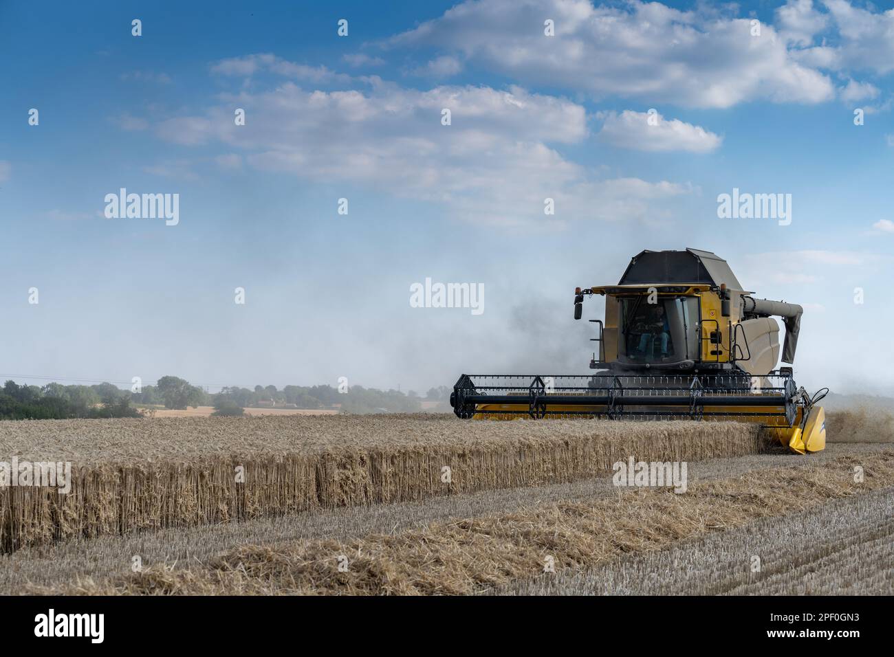 Combining a field of Wheat in North Yorkshire, with a New Holland ...