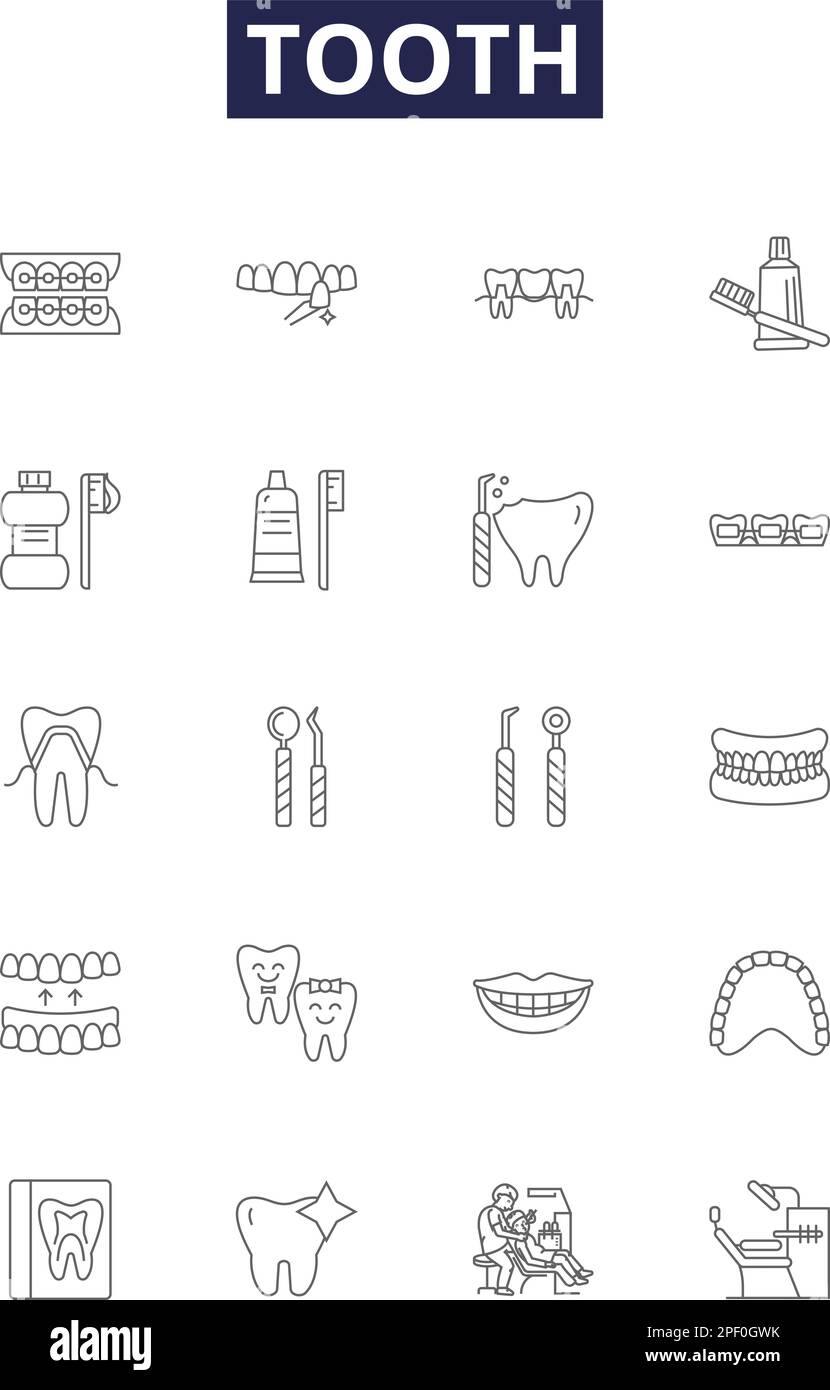 Tooth line vector icons and signs. Dental, Dentition, Enamel, Toothache ...