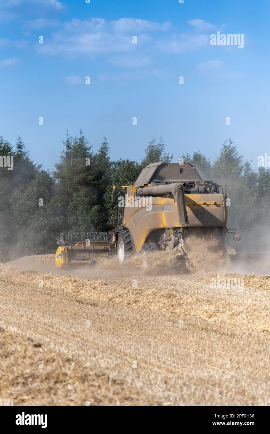 Combining a field of Wheat in North Yorkshire, with a New Holland ...