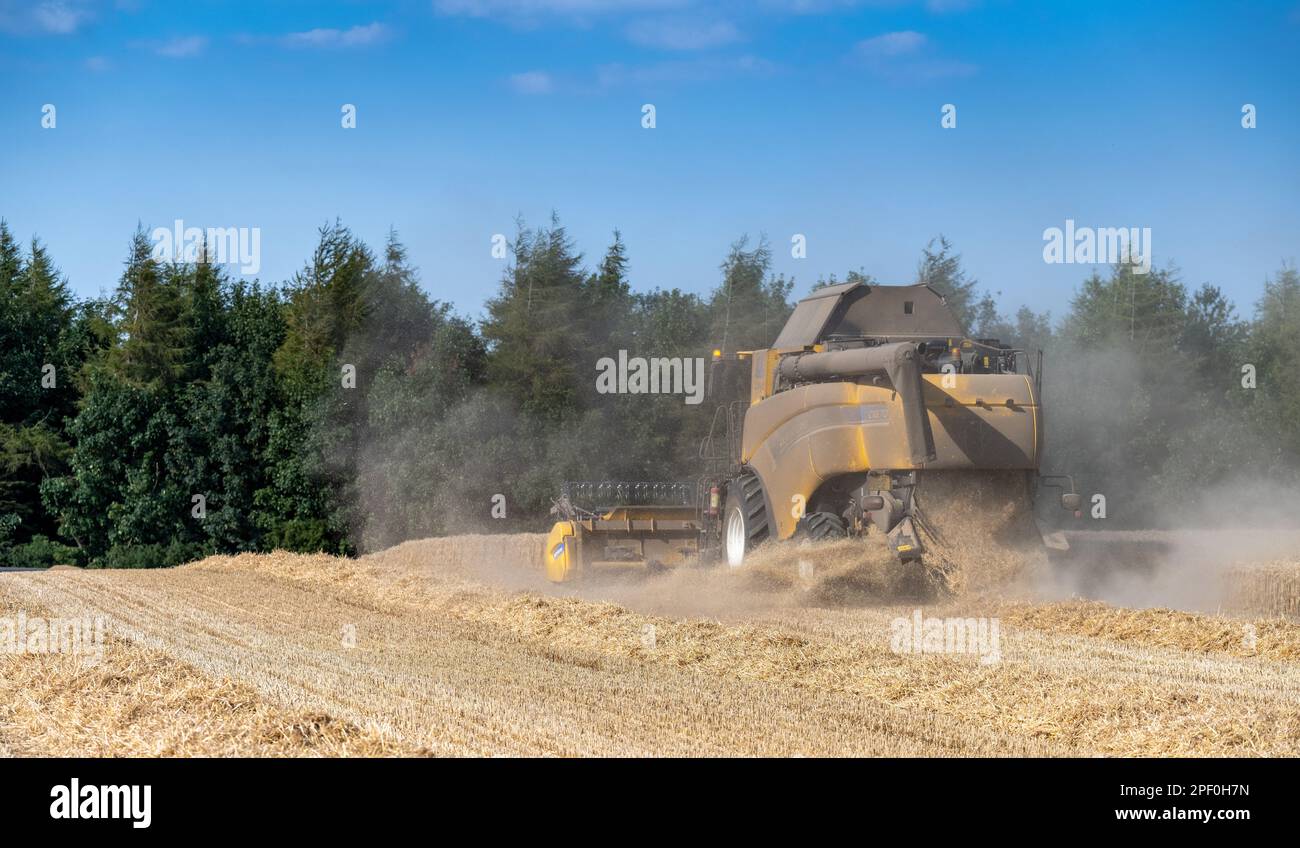 Combining a field of Wheat in North Yorkshire, with a New Holland ...