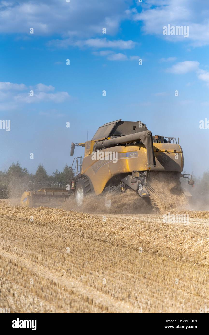 Combining a field of Wheat in North Yorkshire, with a New Holland ...
