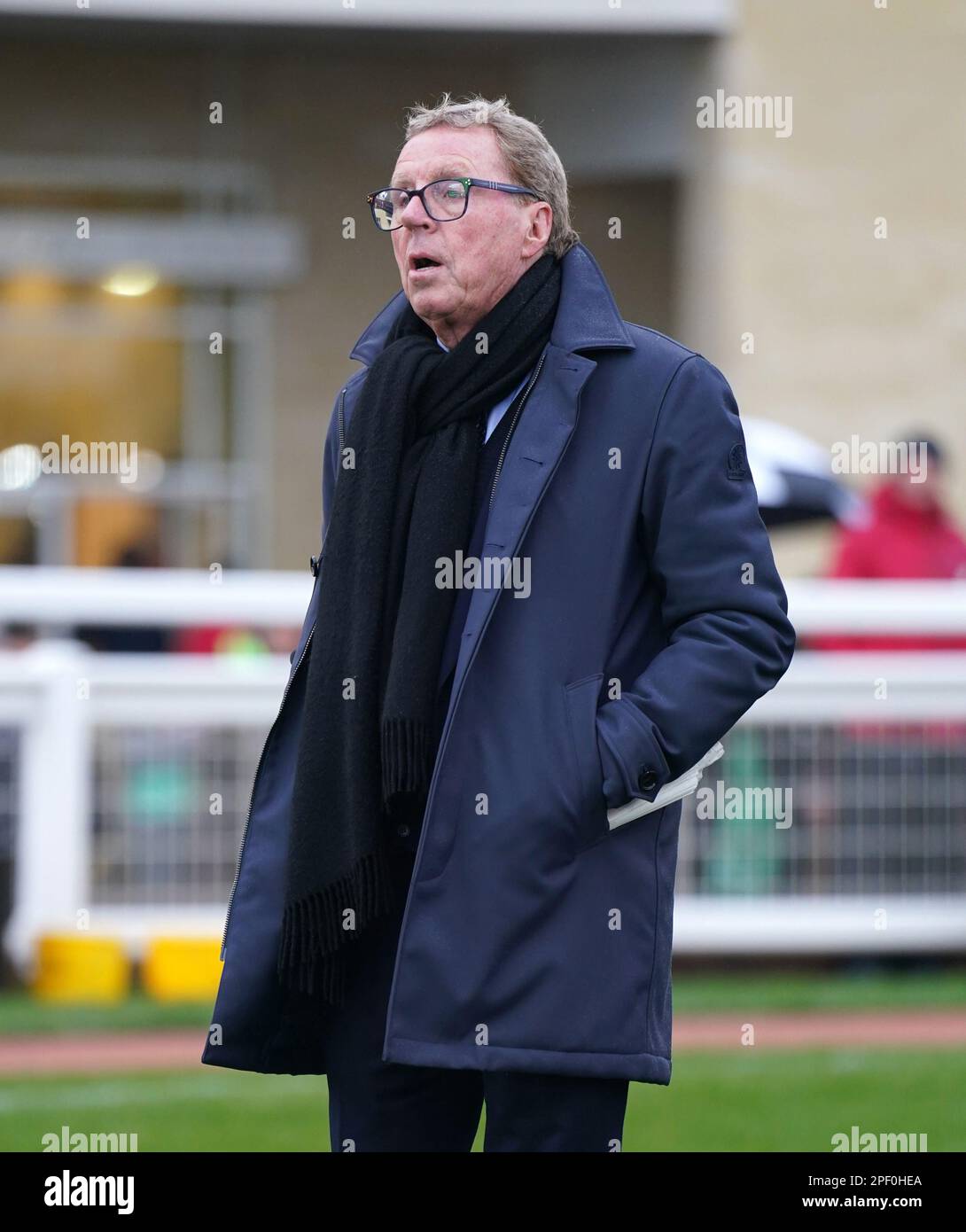 Harry redknapp horse hi-res stock photography and images - Alamy