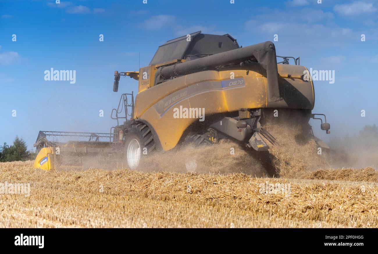 Combining a field of Wheat in North Yorkshire, with a New Holland ...