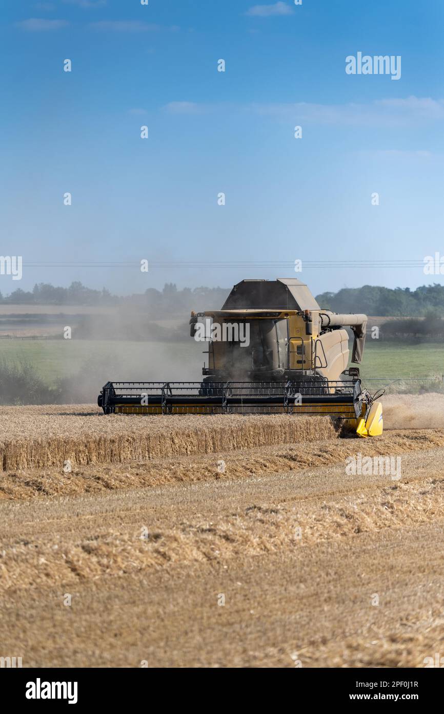 Combining a field of Wheat in North Yorkshire, with a New Holland ...