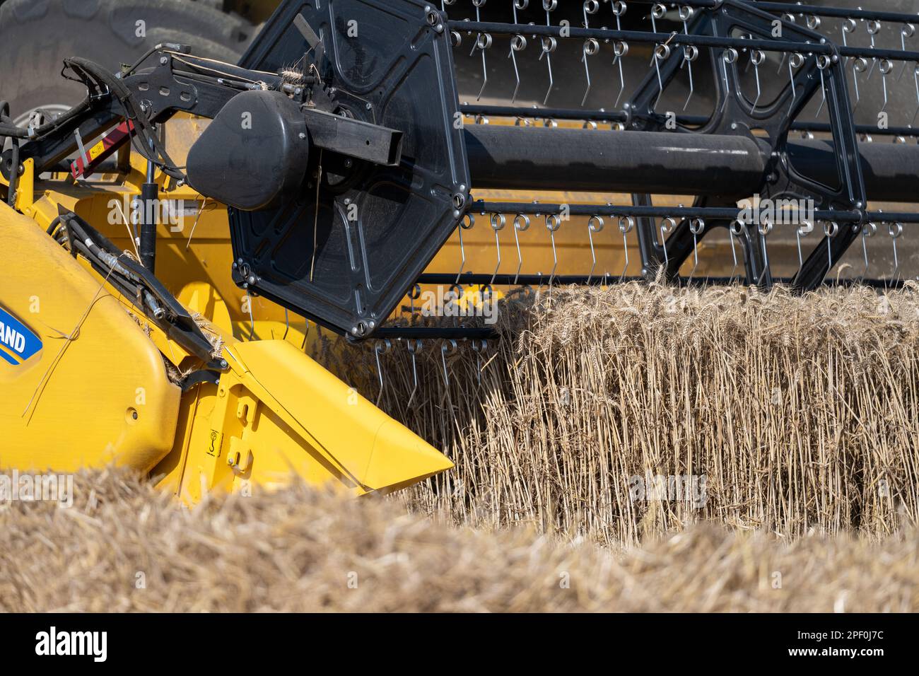 Combining a field of Wheat in North Yorkshire, with a New Holland ...
