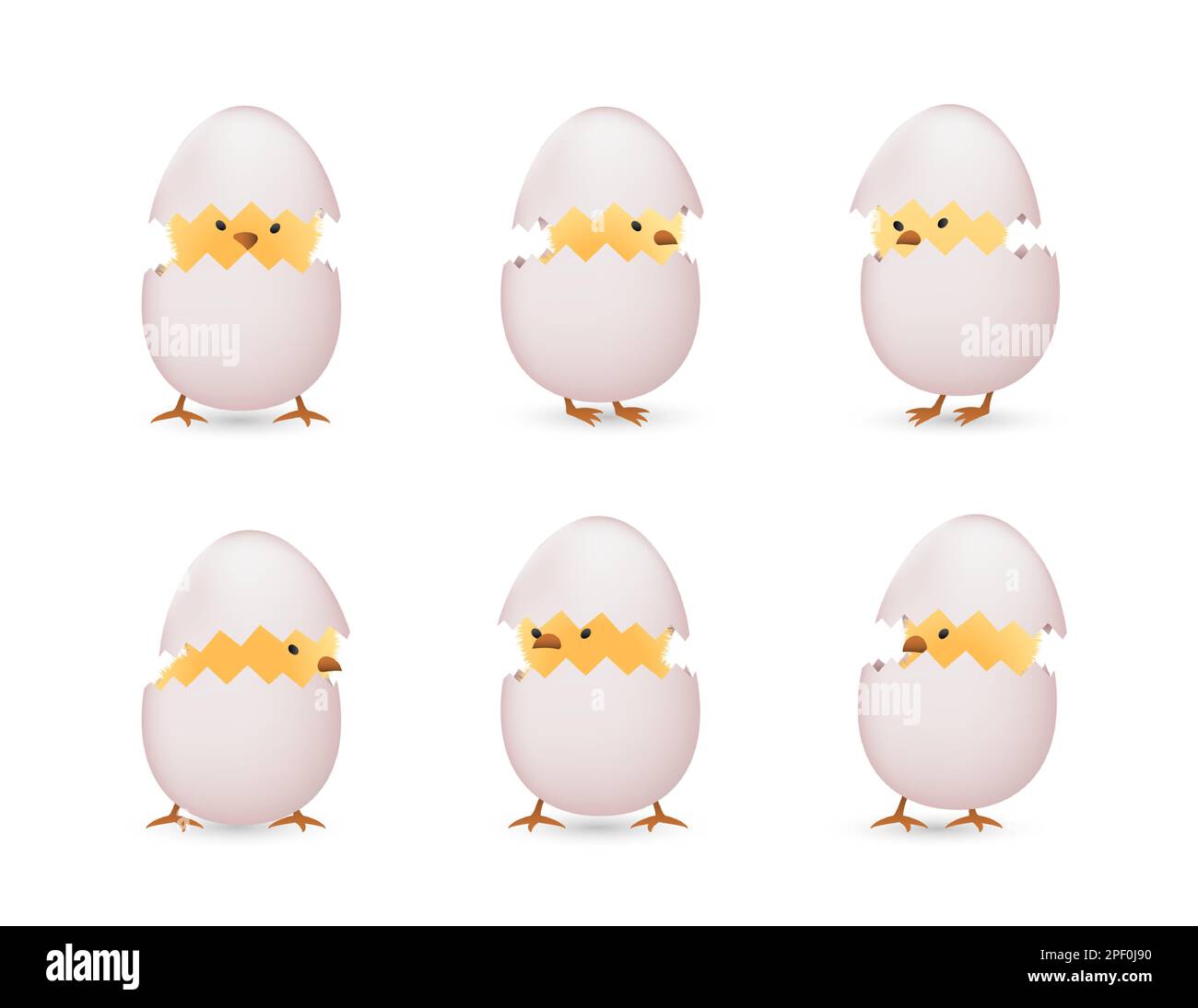 Set chicken eggs in Stock Vector Images - Alamy