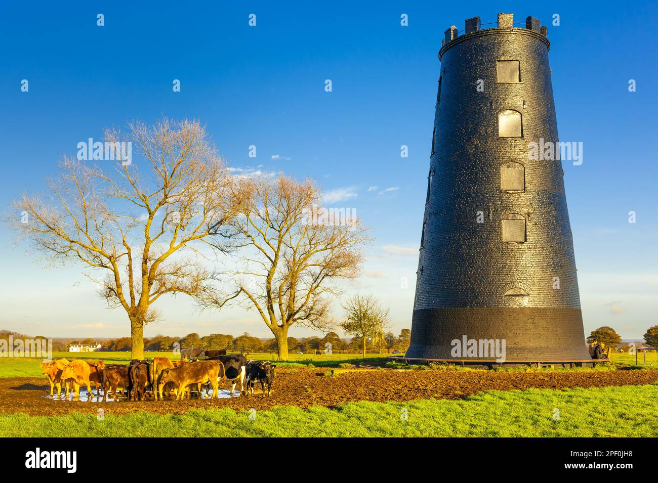 Beverley,The Westwood is common pasture land gifted to the people ...