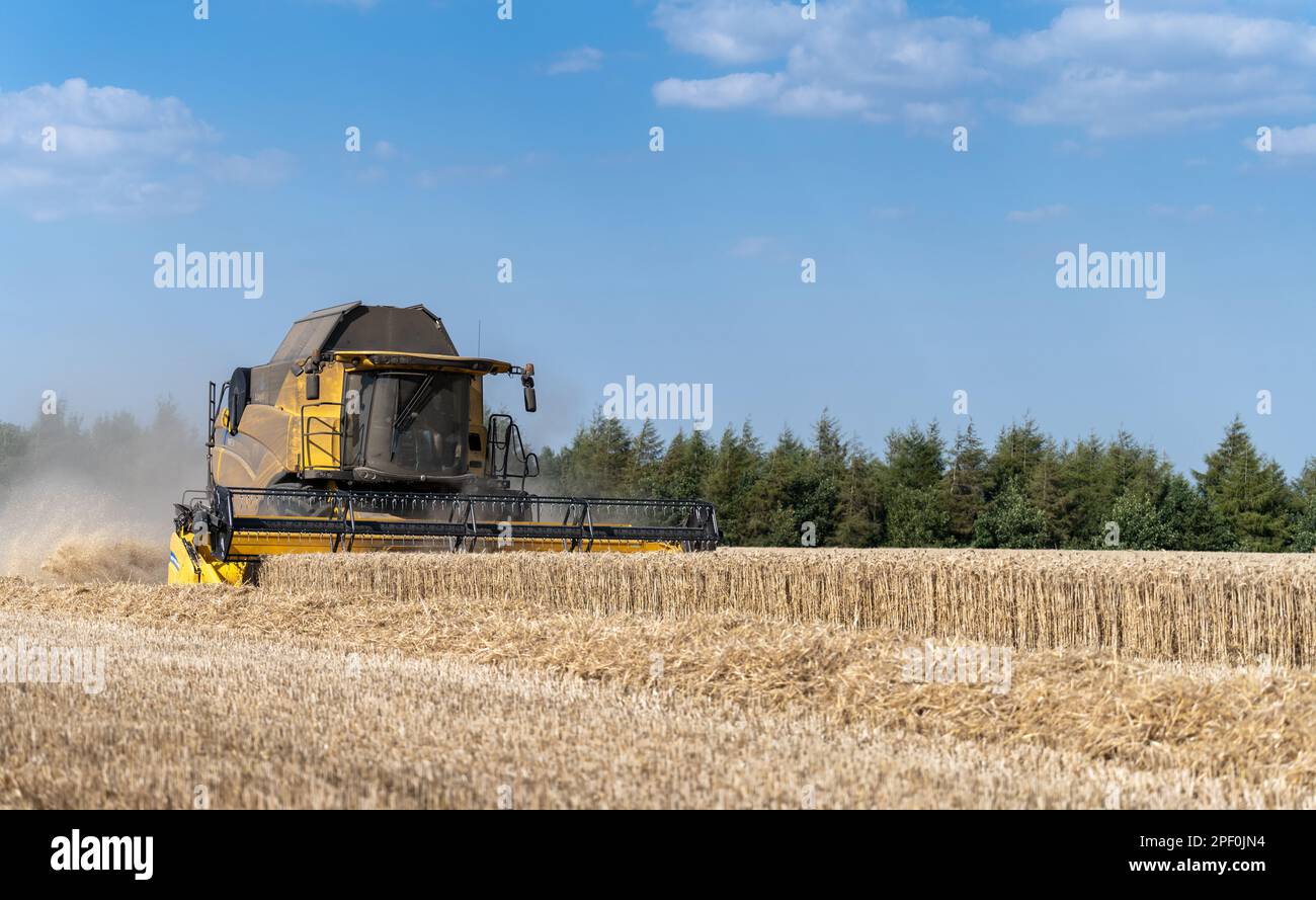 Combining a field of Wheat in North Yorkshire, with a New Holland ...