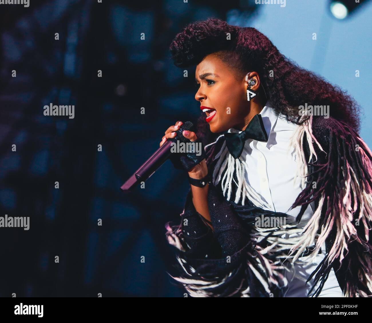 Janelle Monáe performing in Miami Gardens at the Jazz in the Gardens ...