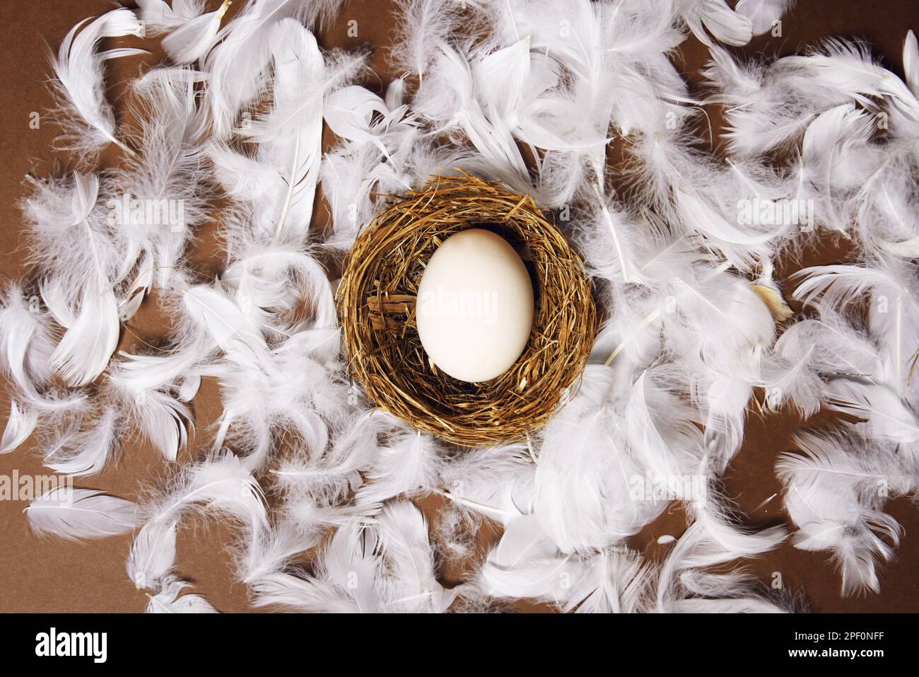 A woman's hand puts a large white egg in the nest. Fresh eco products ...