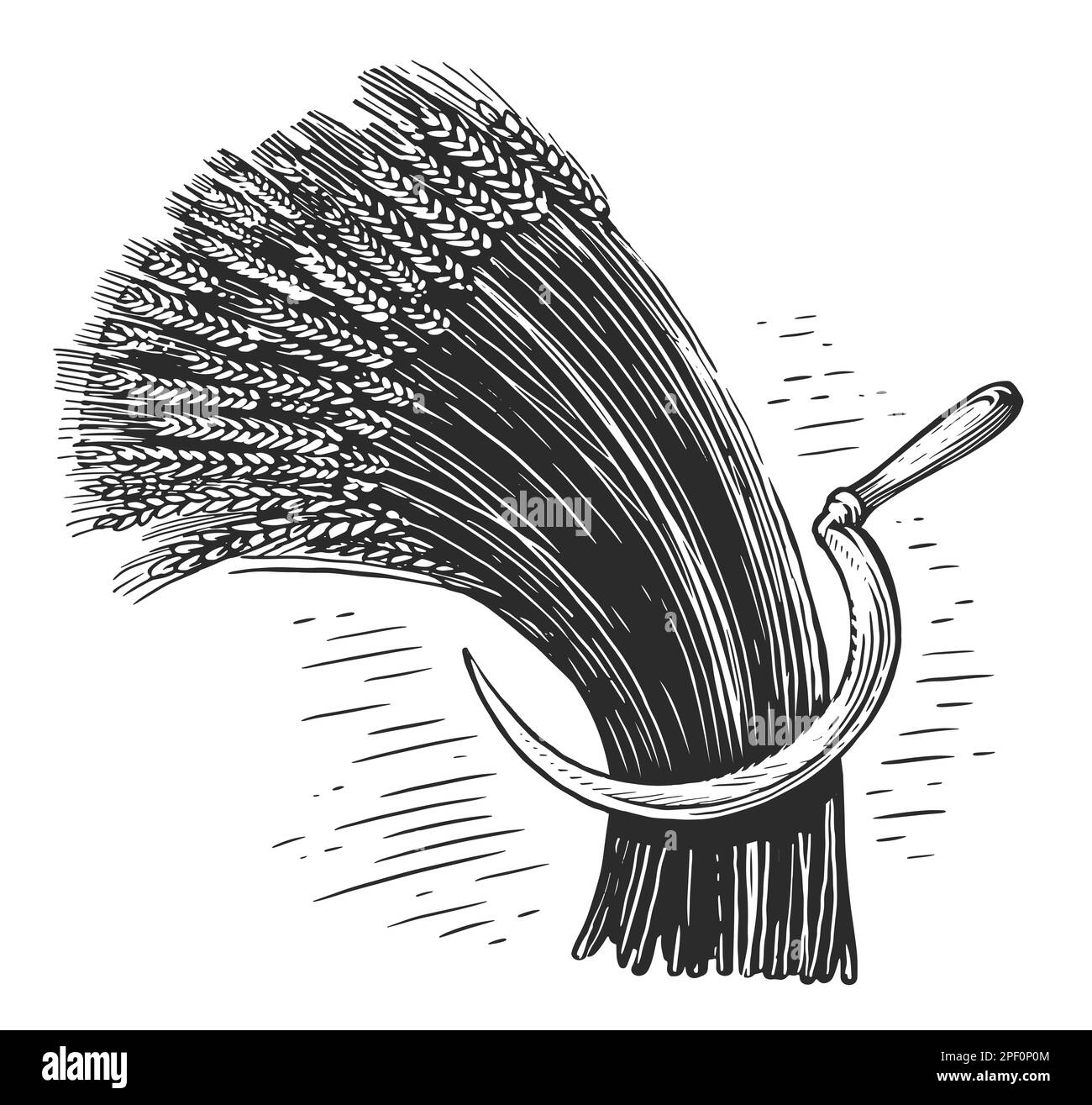 Wheat and sickle. Farm organic cereal food, bread flour. Agriculture ...