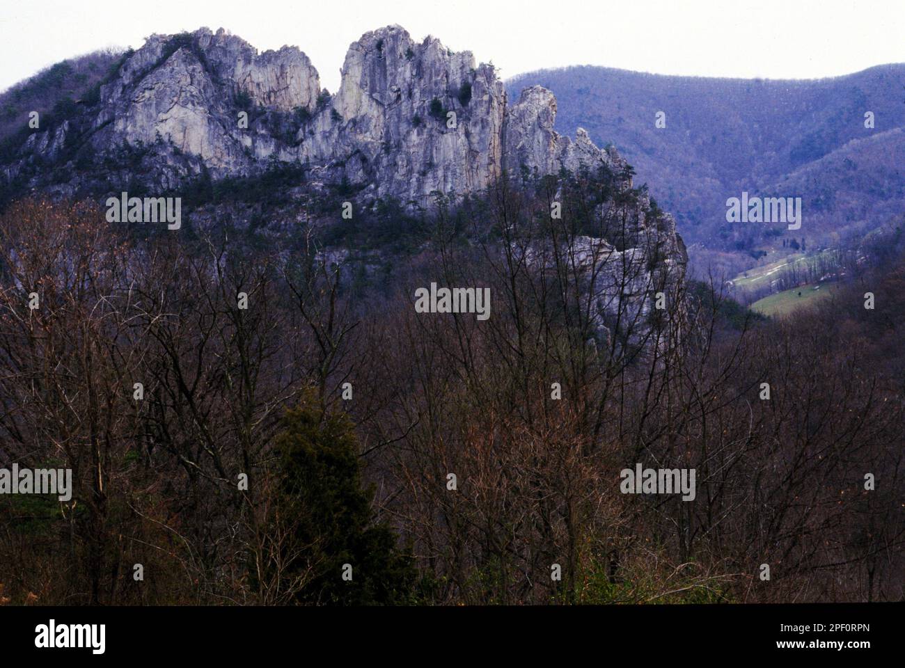 Seneca state forest west virginia hi-res stock photography and images ...