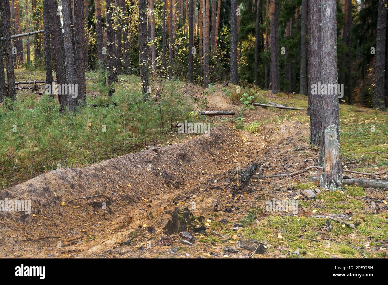 Fire ditch hi-res stock photography and images - Alamy