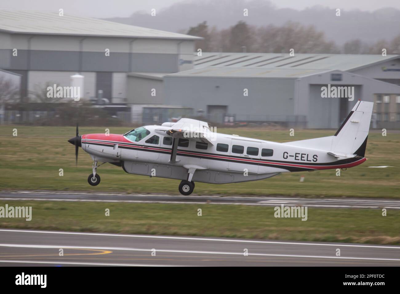 G eels hi-res stock photography and images - Alamy